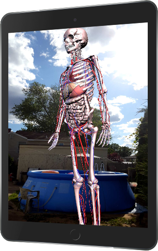 Augmented Reality Production Services - Interactive 3D - ARConnex